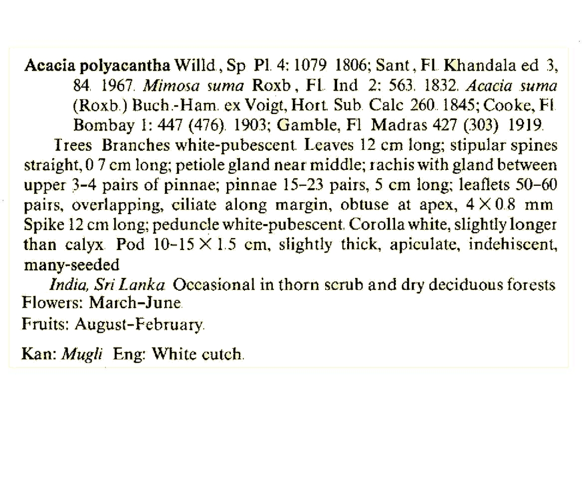 Herbarium JCB