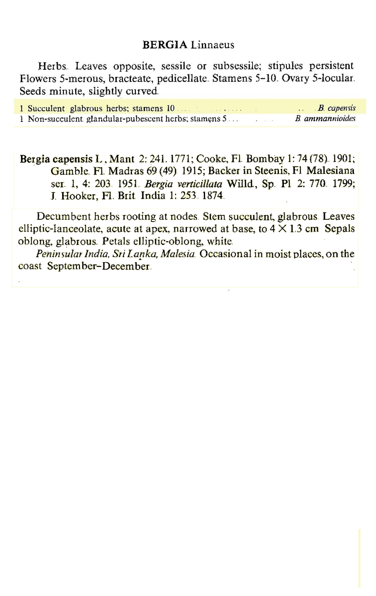 Herbarium JCB