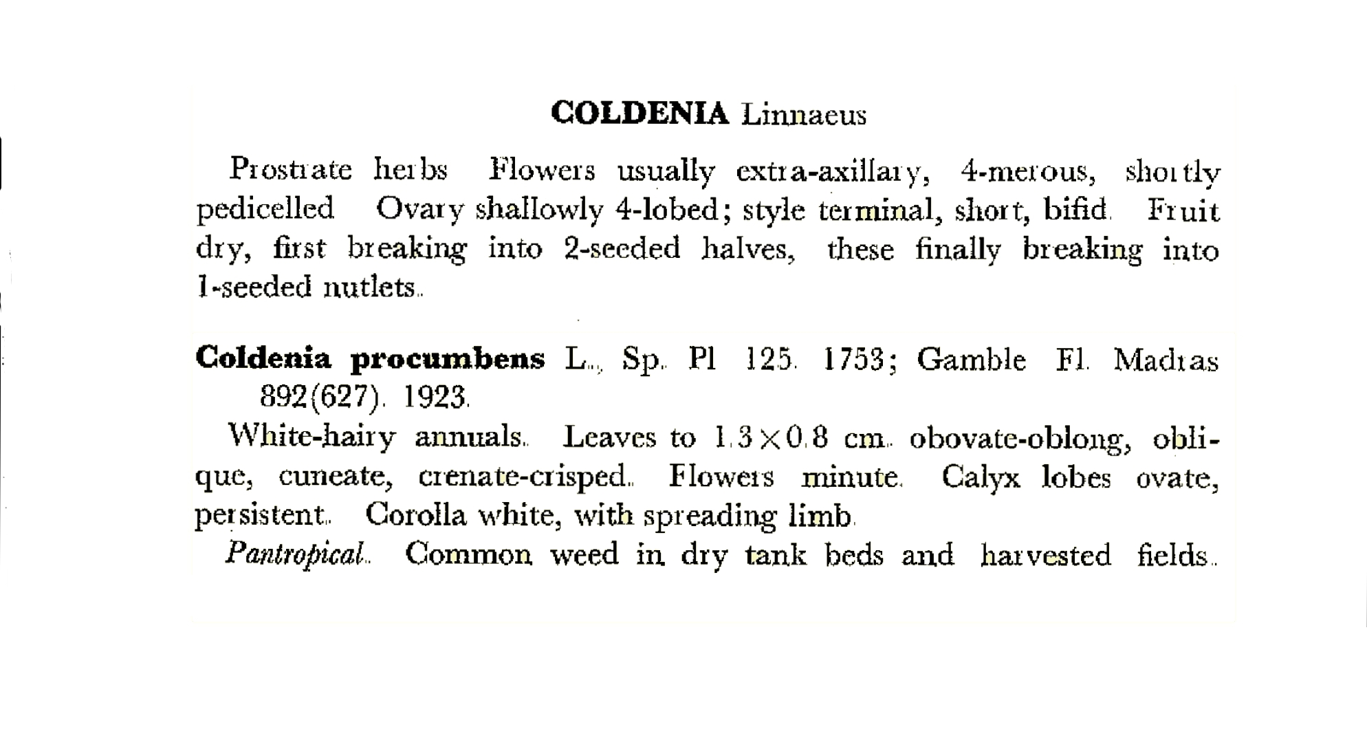 Herbarium JCB