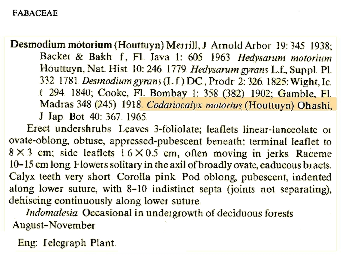 Herbarium JCB