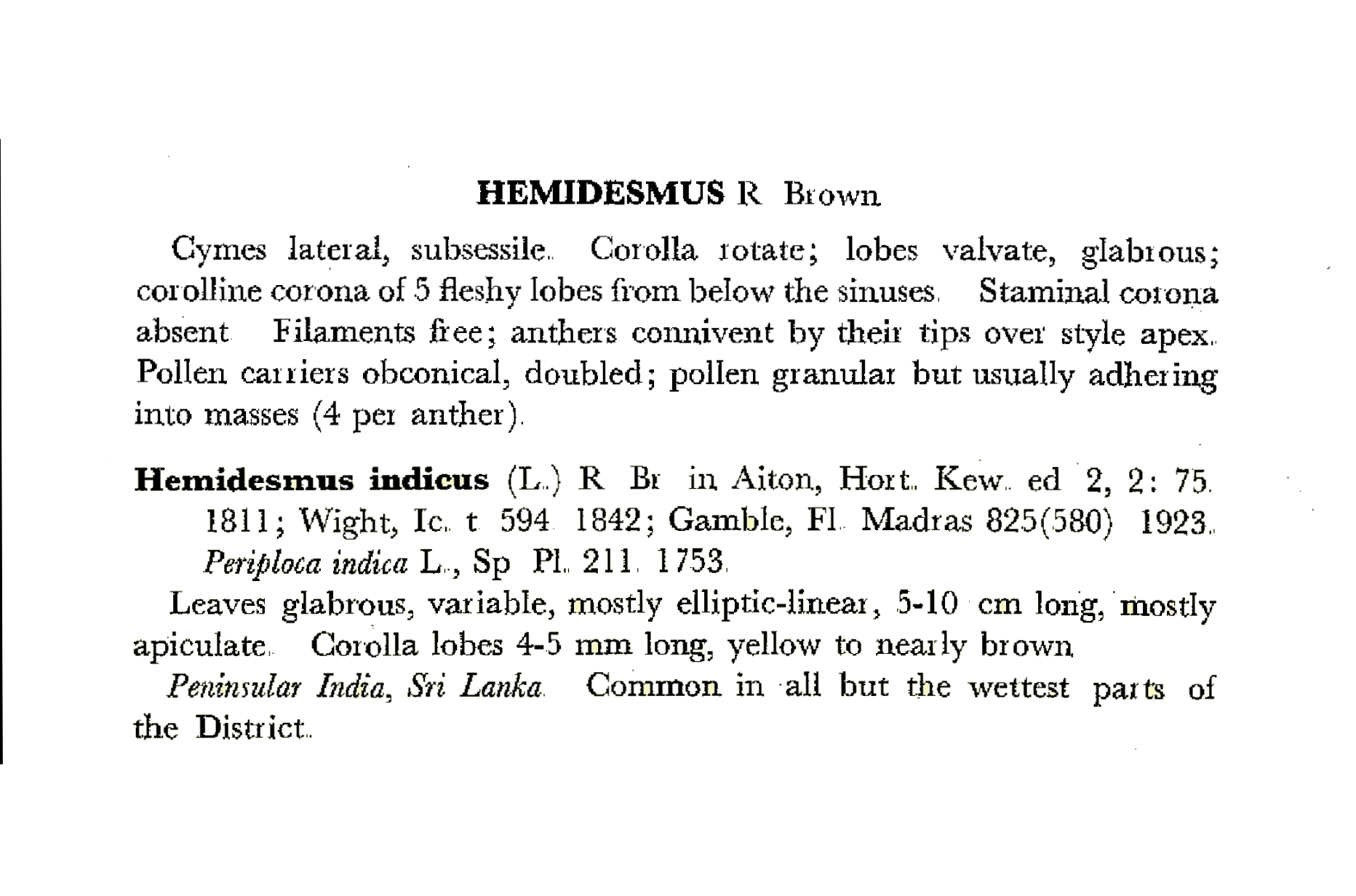 Herbarium JCB