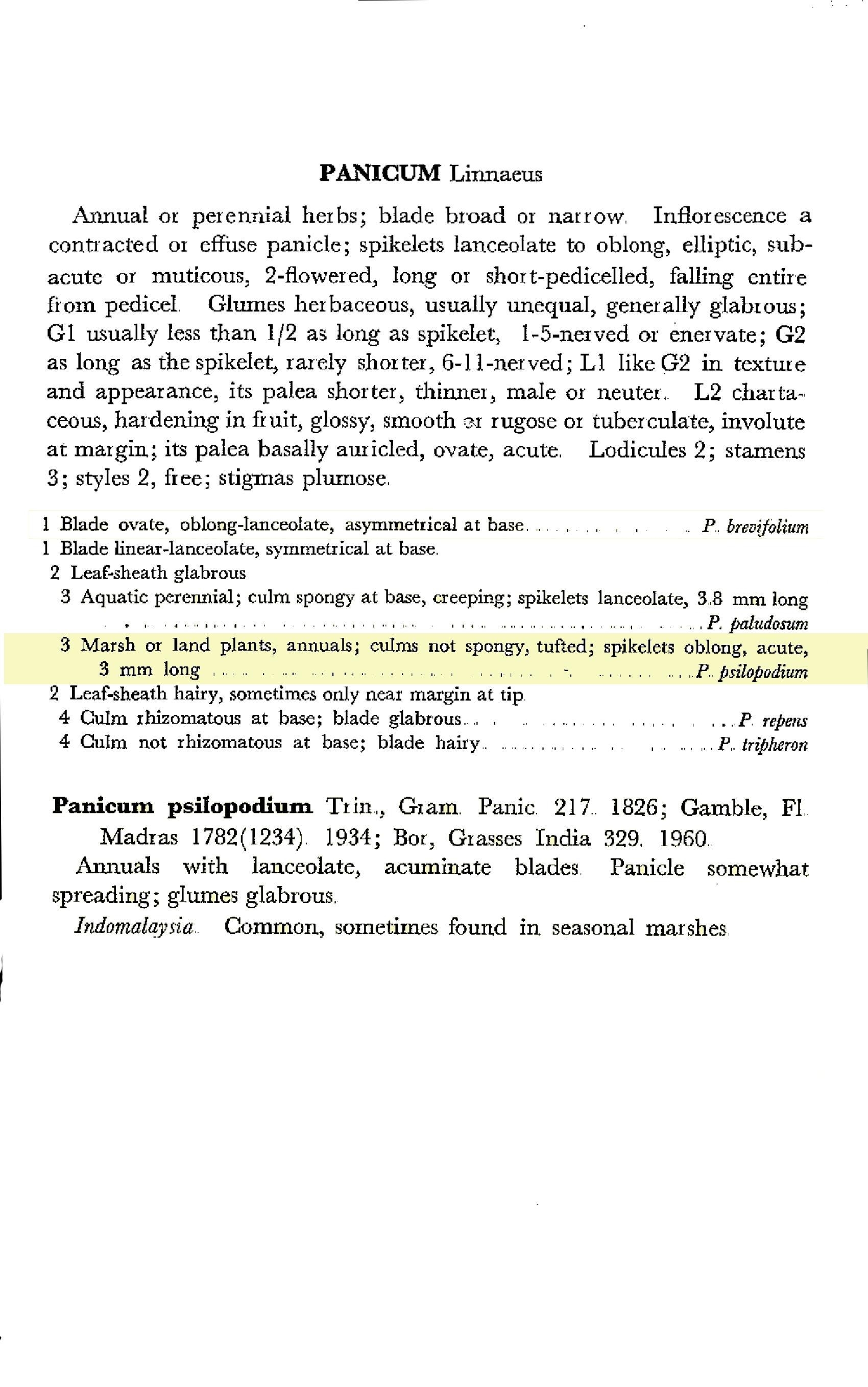 Herbarium JCB