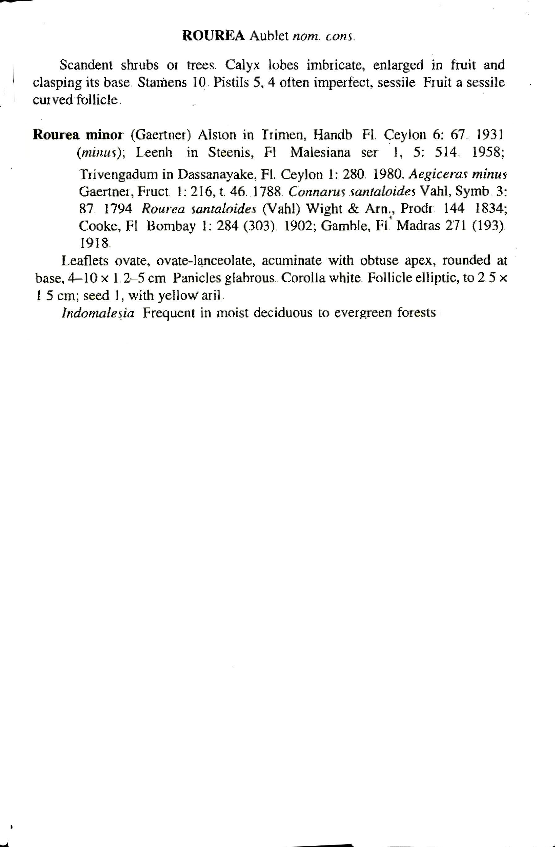 Herbarium JCB