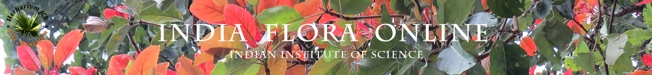India Flora Online