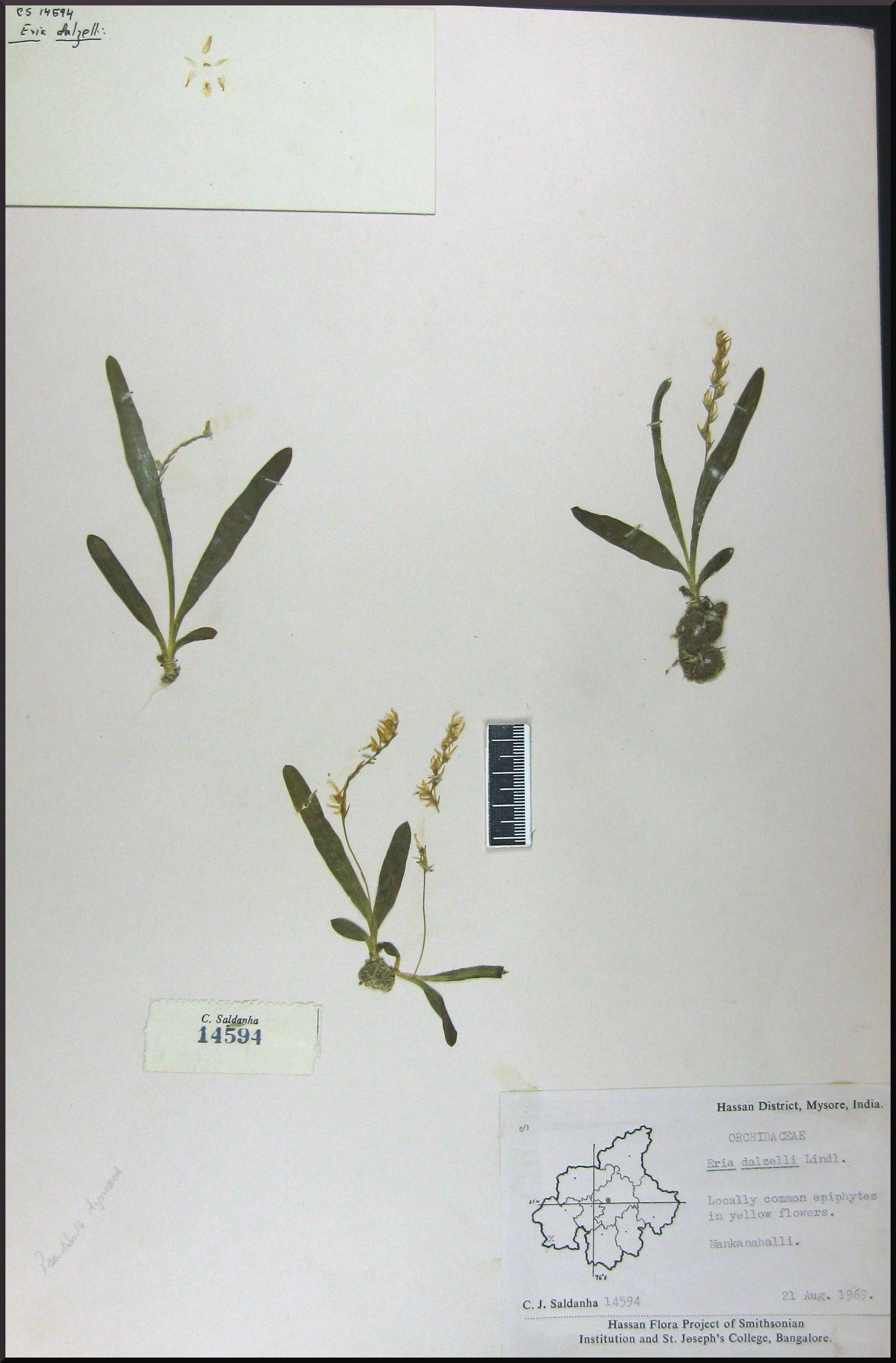 Herbarium JCB