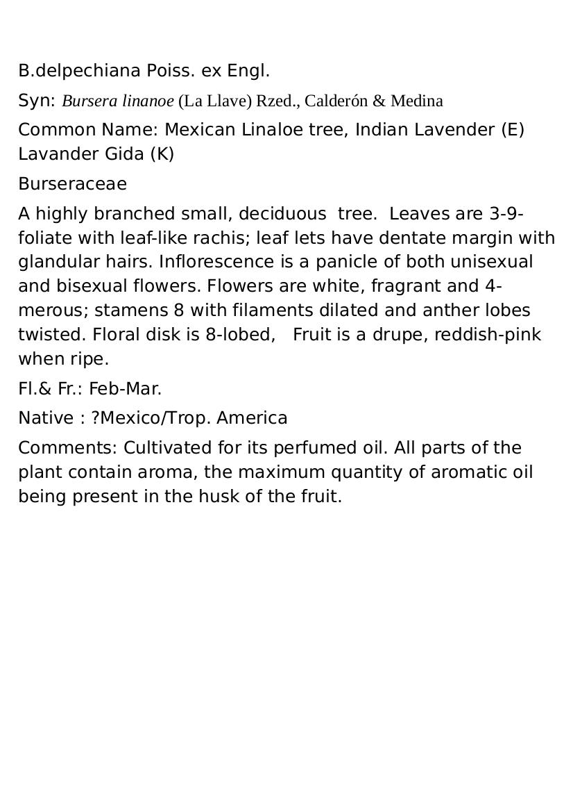 Herbarium JCB