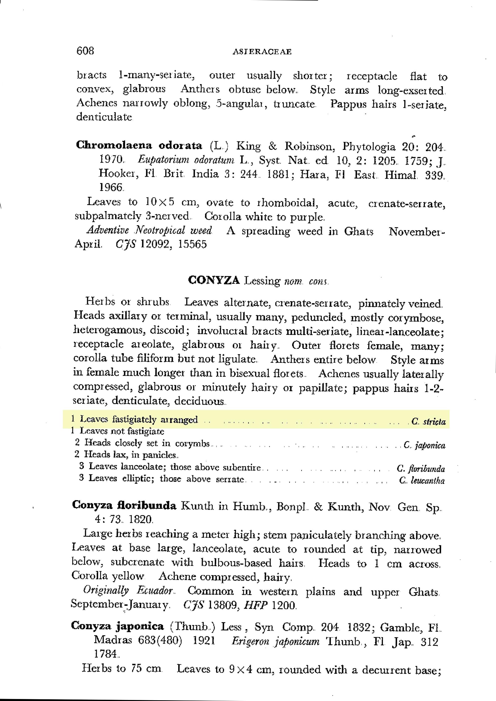 Herbarium JCB