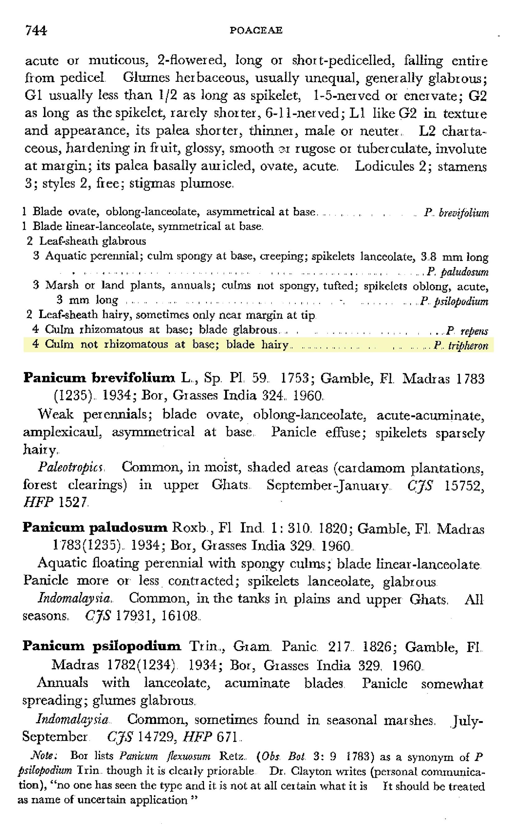 Herbarium JCB