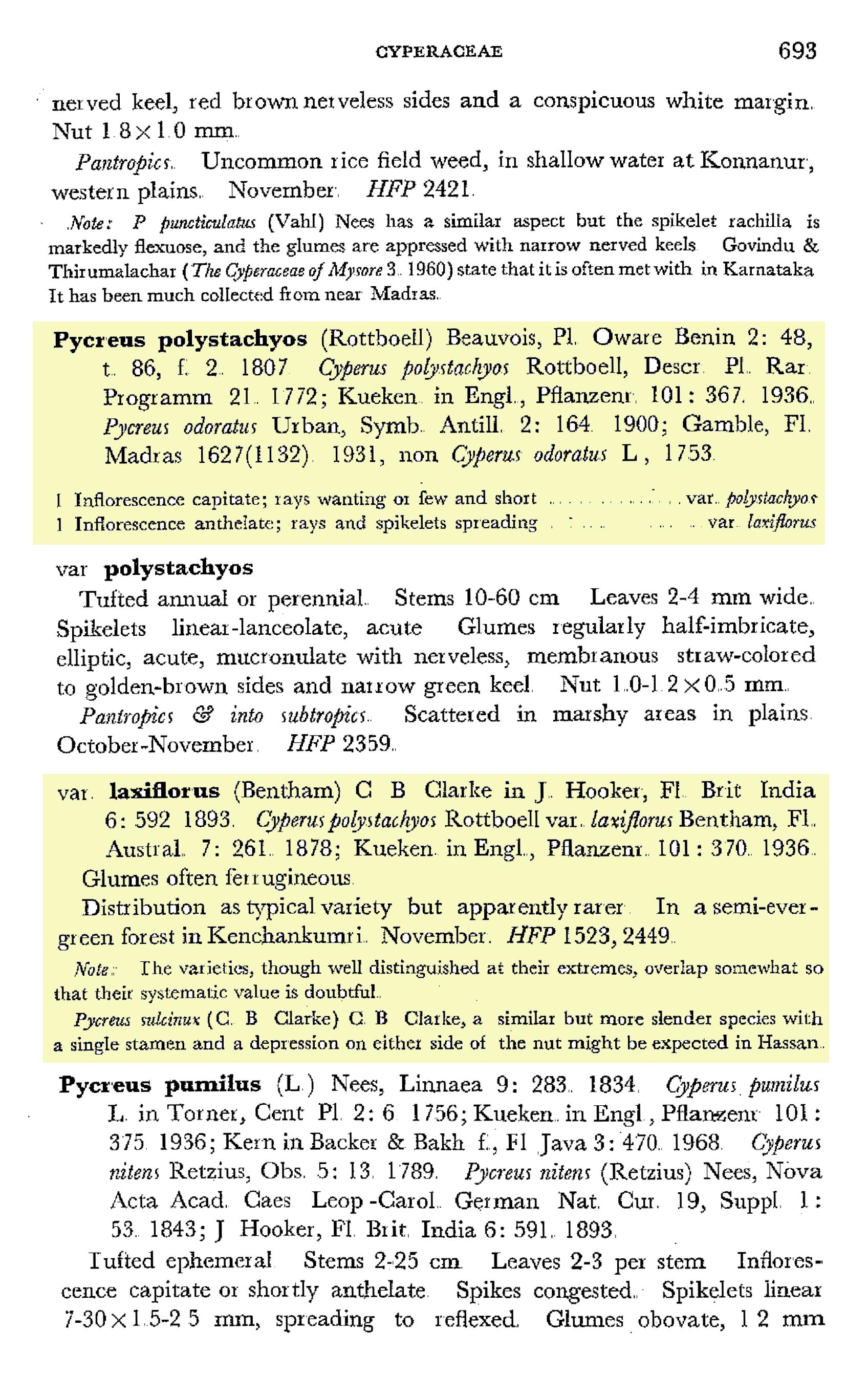 Herbarium JCB
