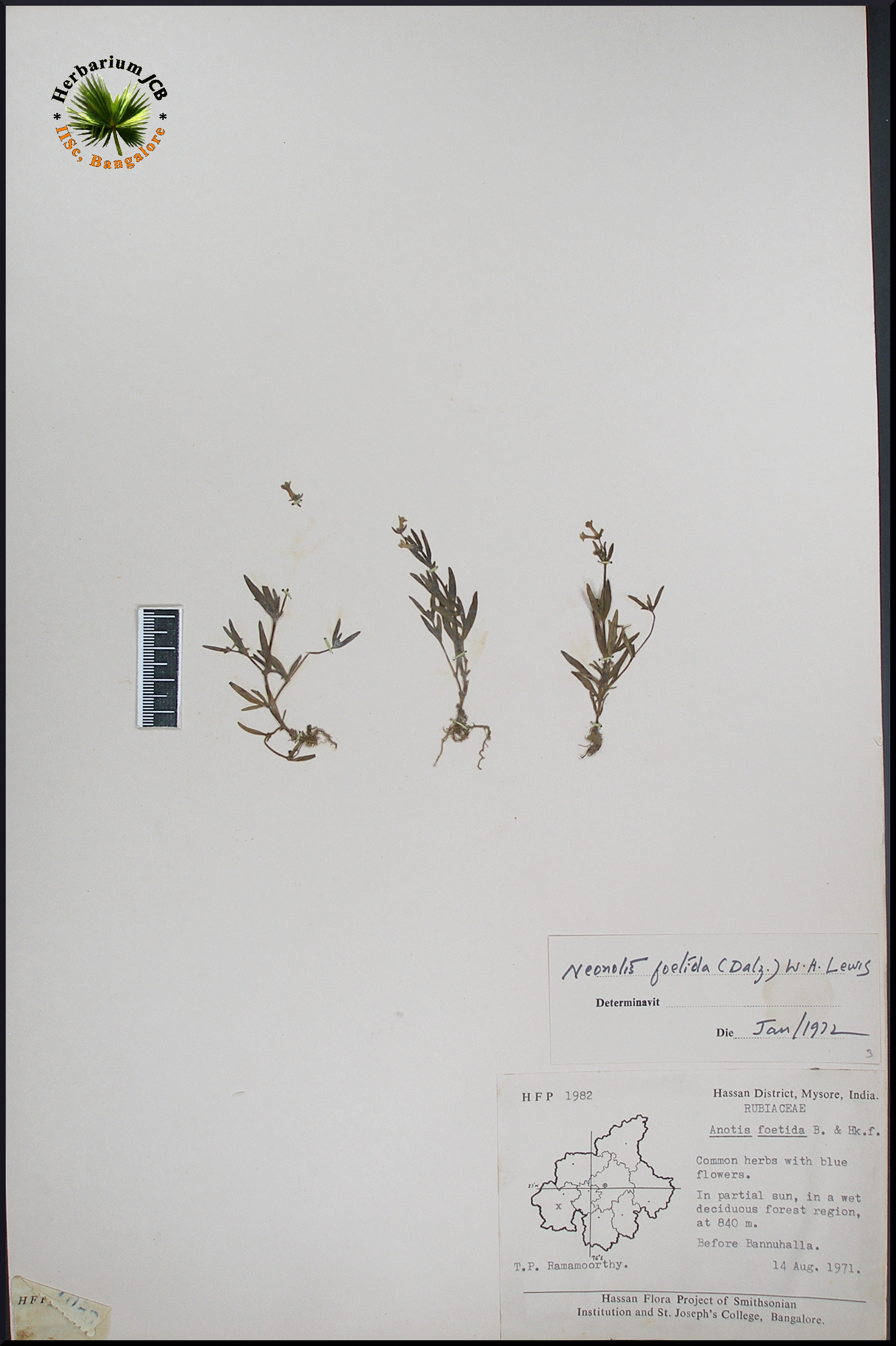 Herbarium JCB