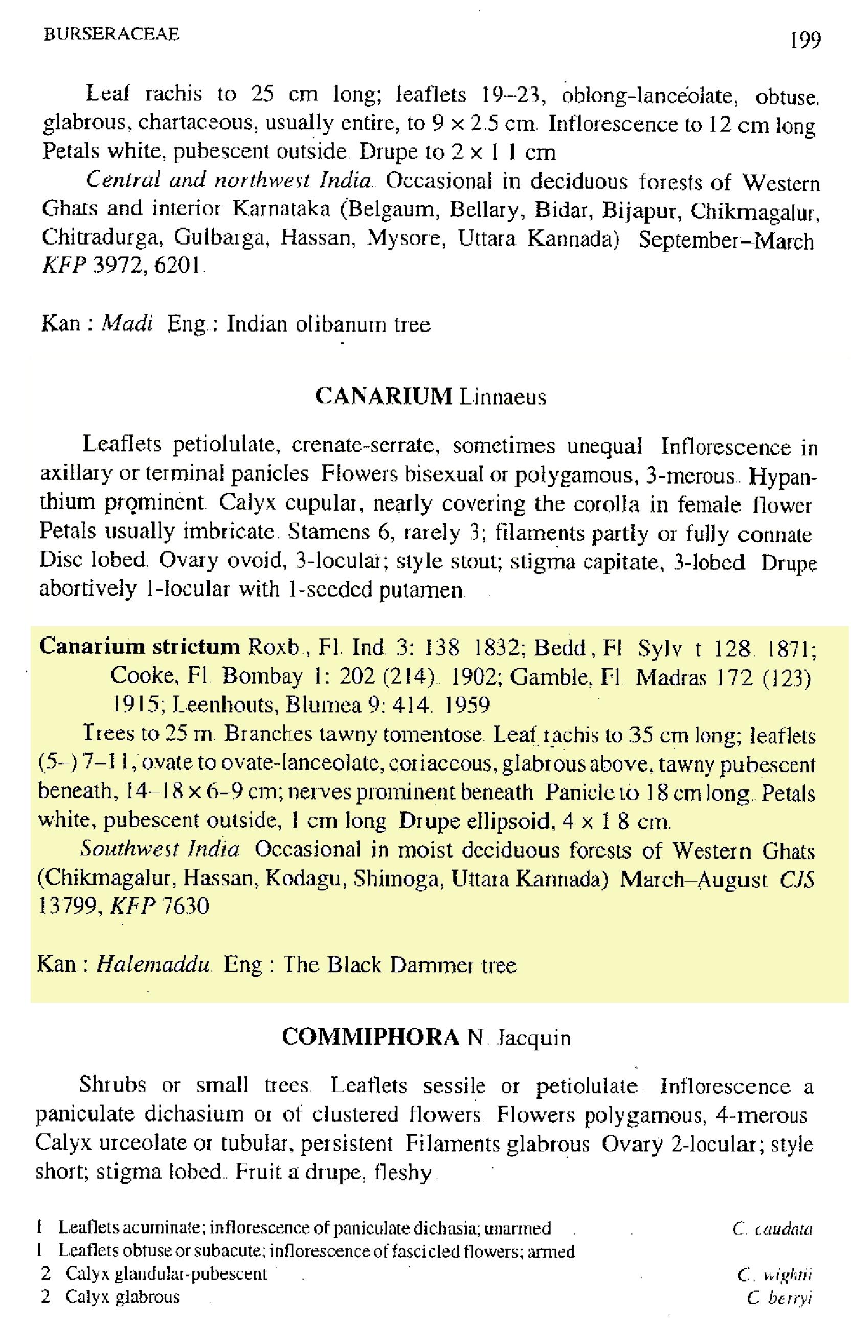 Herbarium JCB