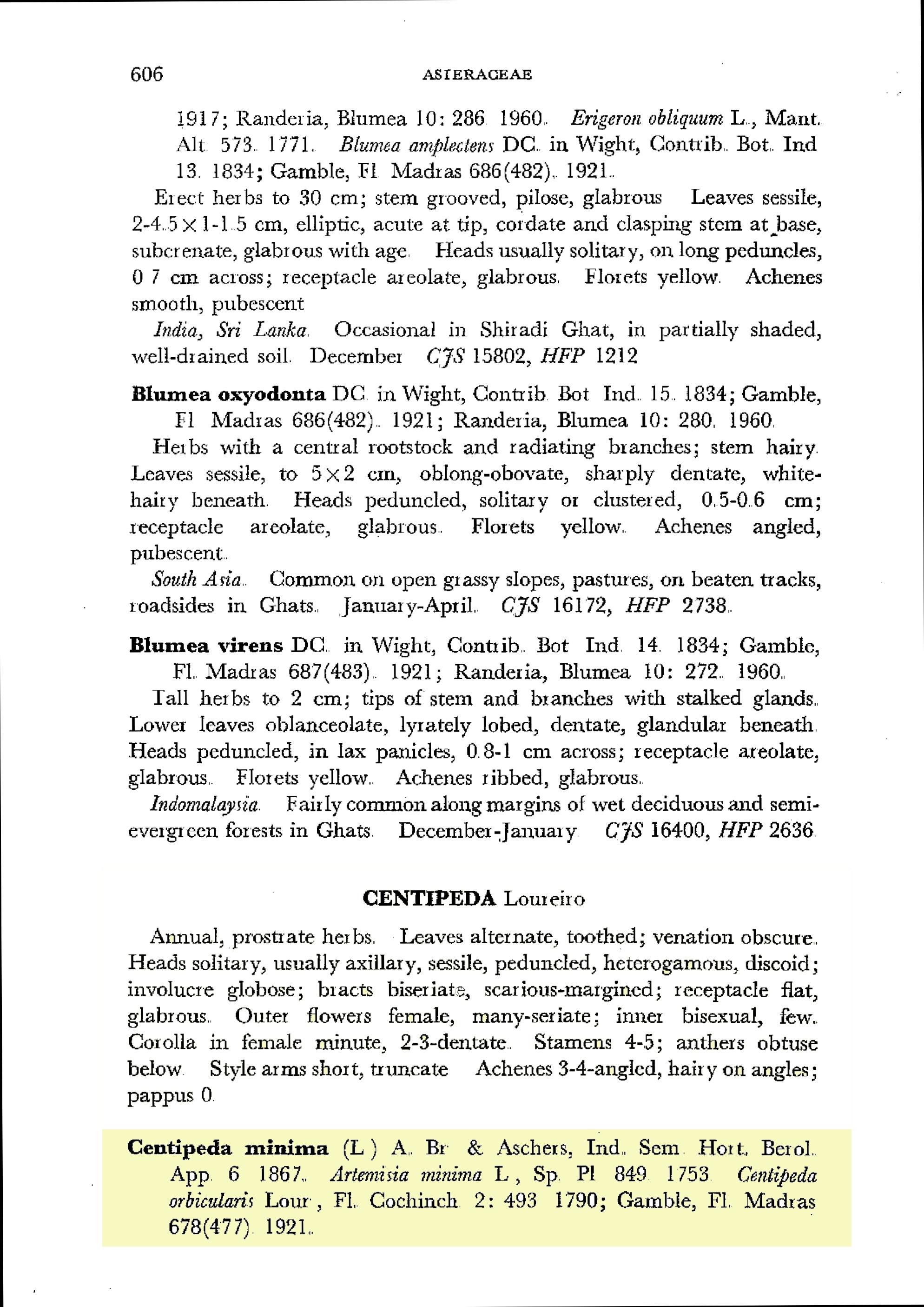 Herbarium JCB