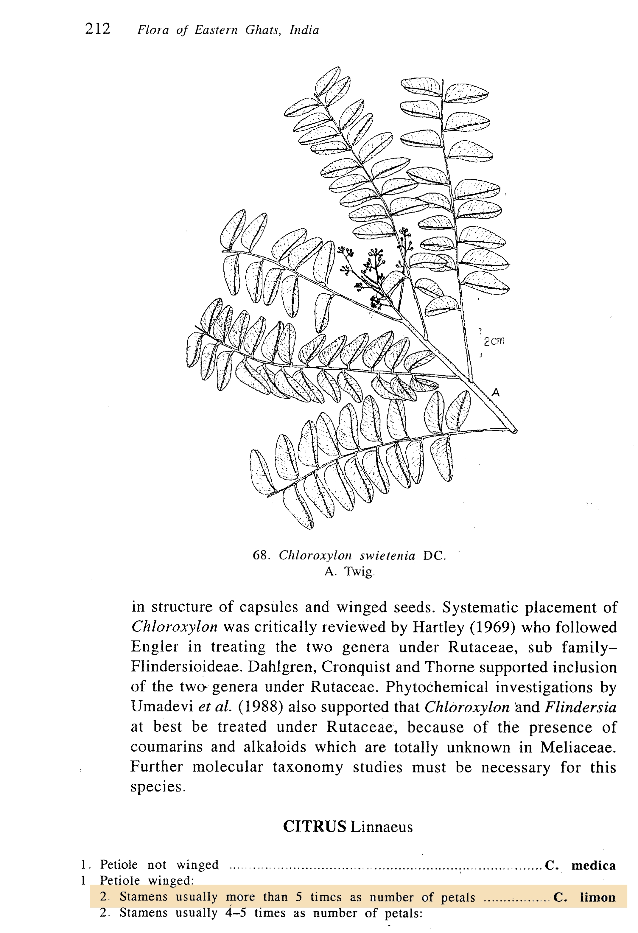 Herbarium JCB