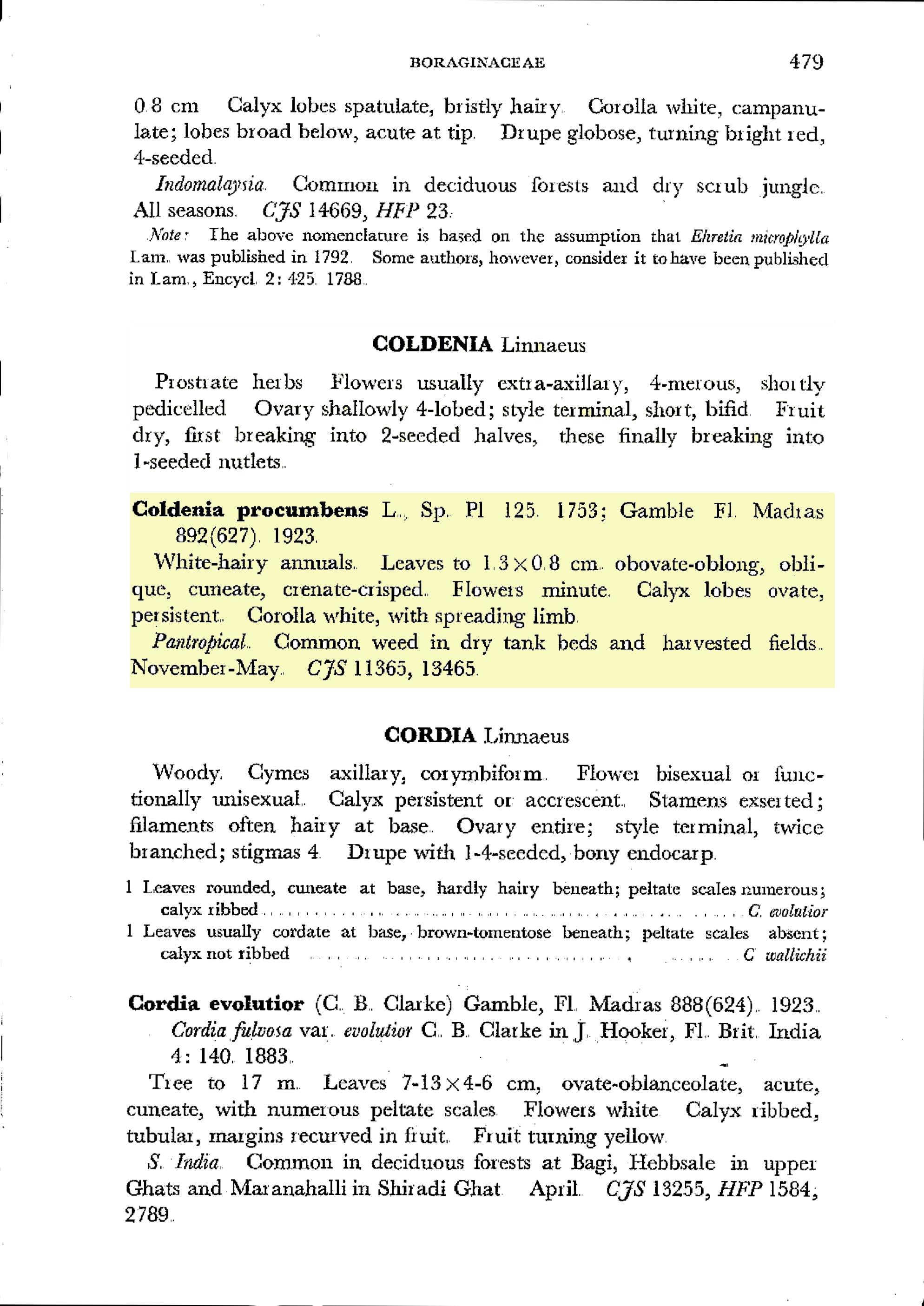 Herbarium JCB