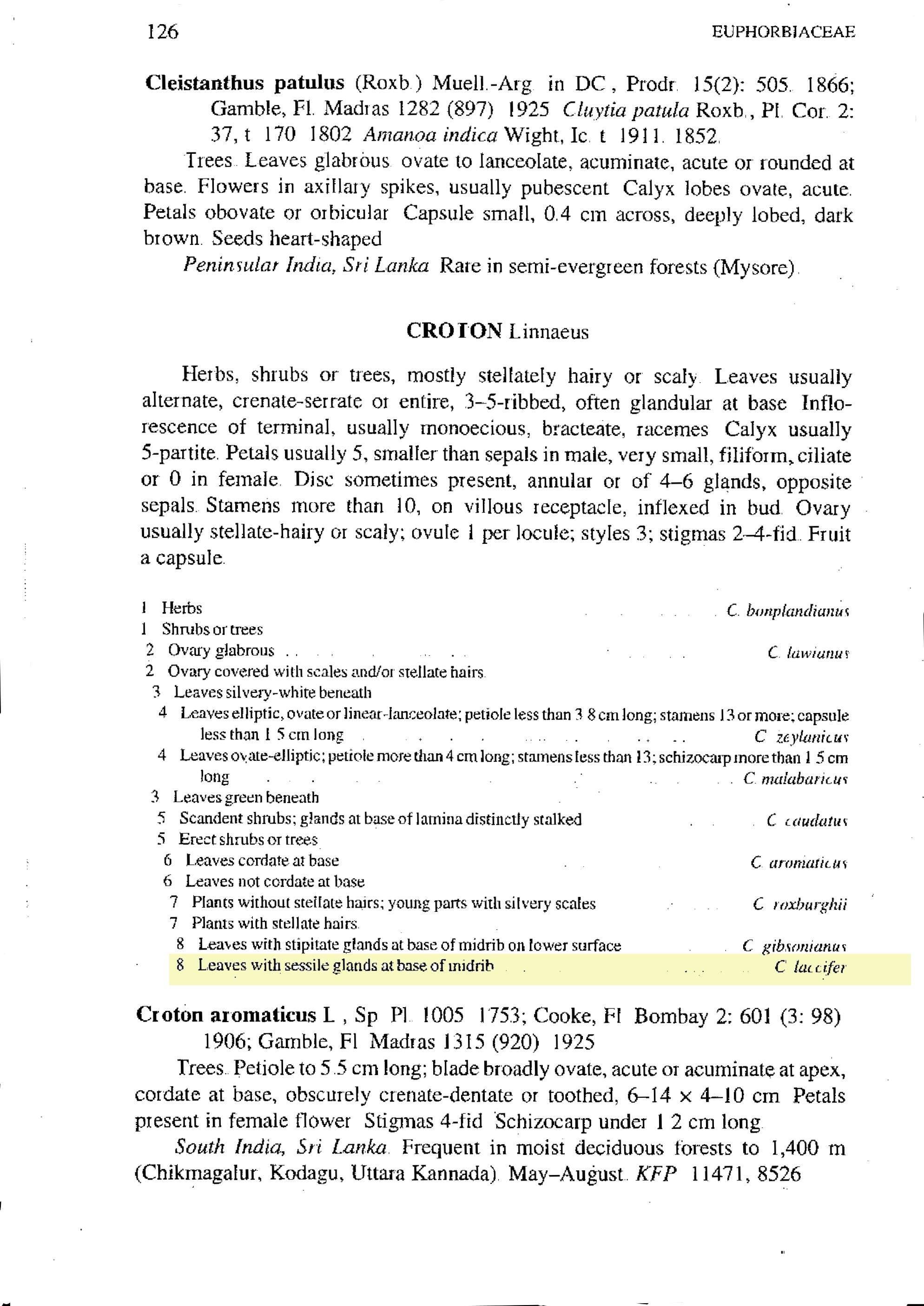 Herbarium JCB