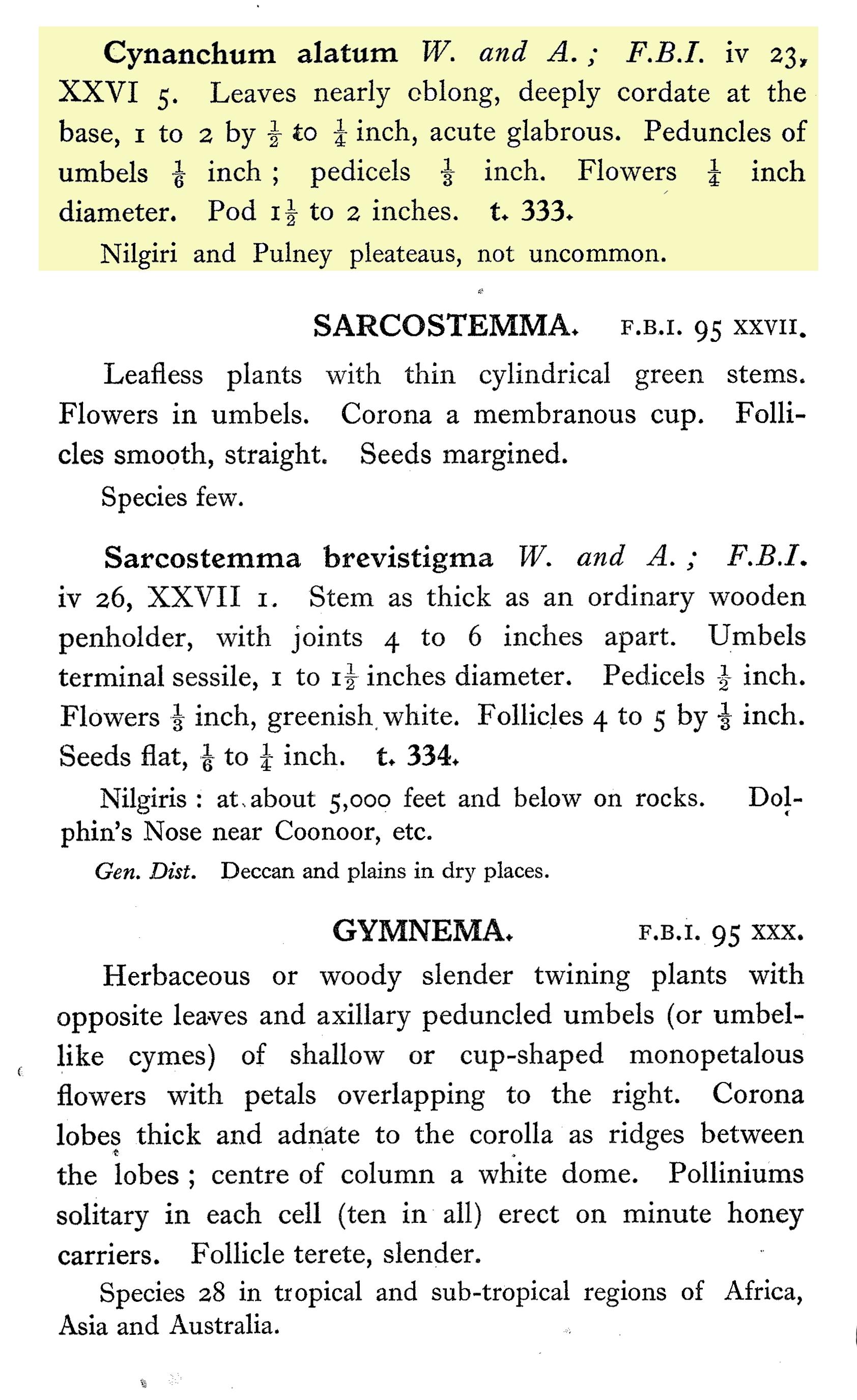 Herbarium JCB