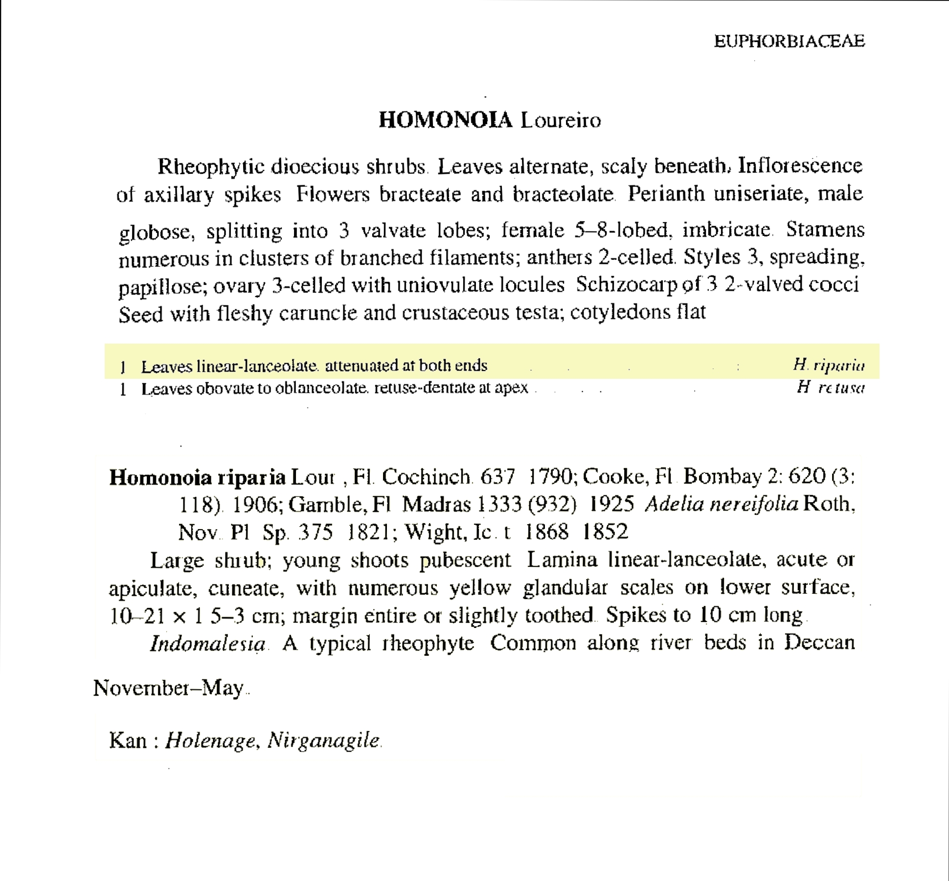 Herbarium JCB