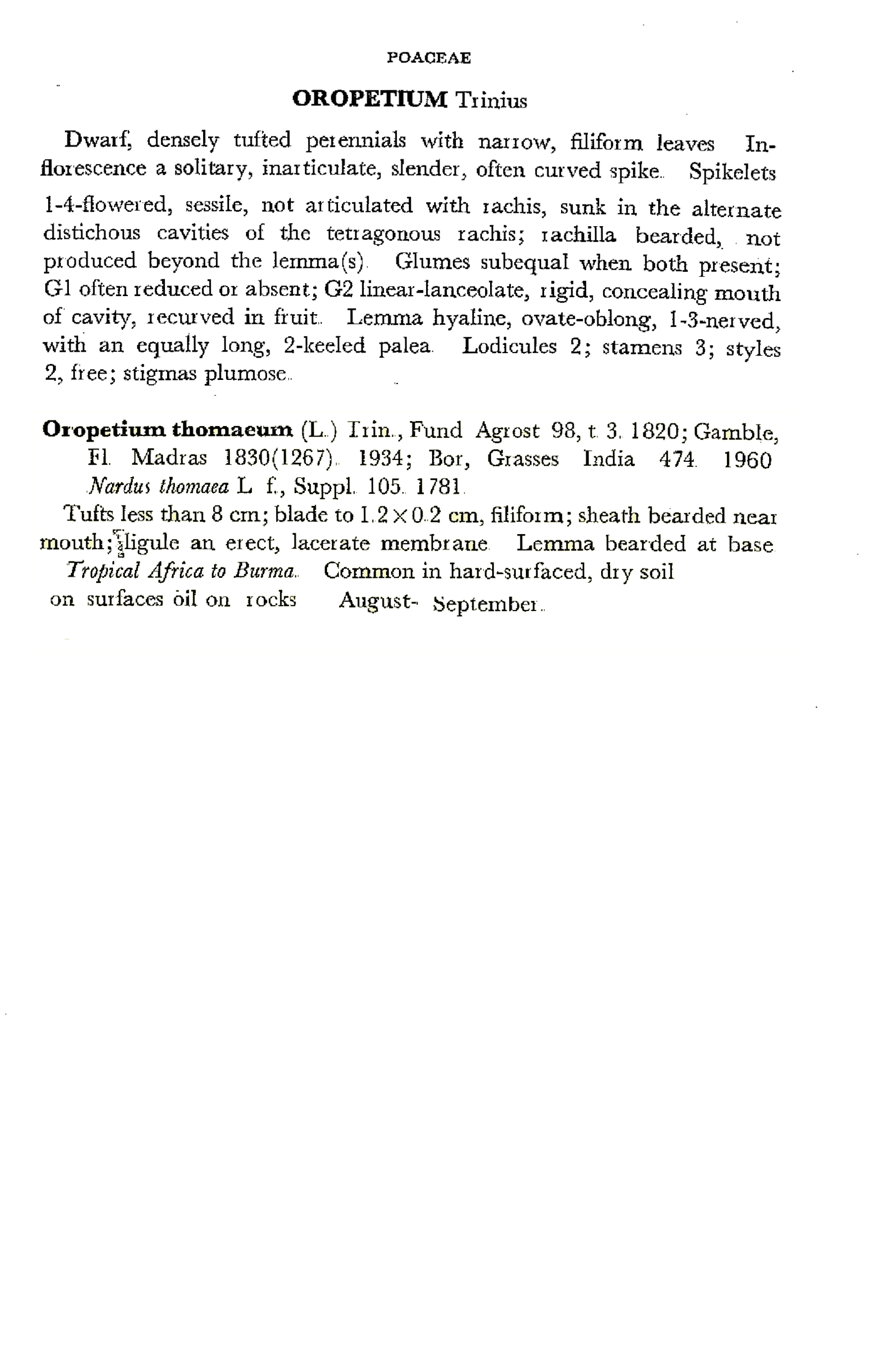 Herbarium JCB
