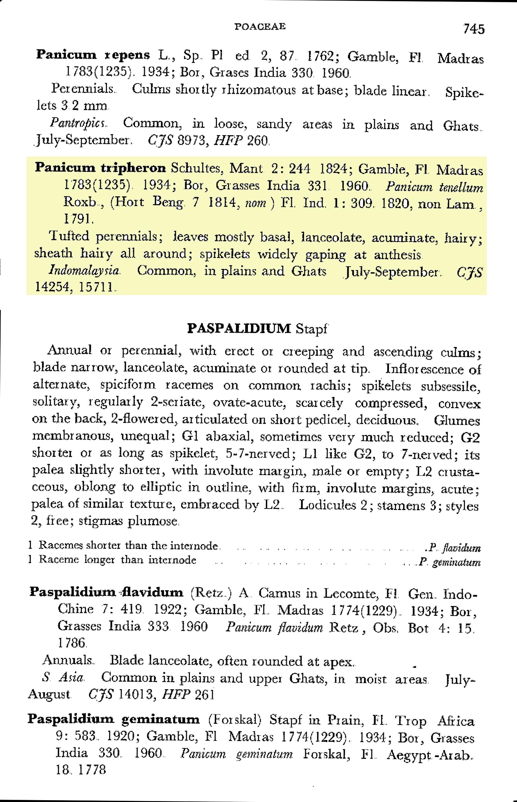 Herbarium JCB