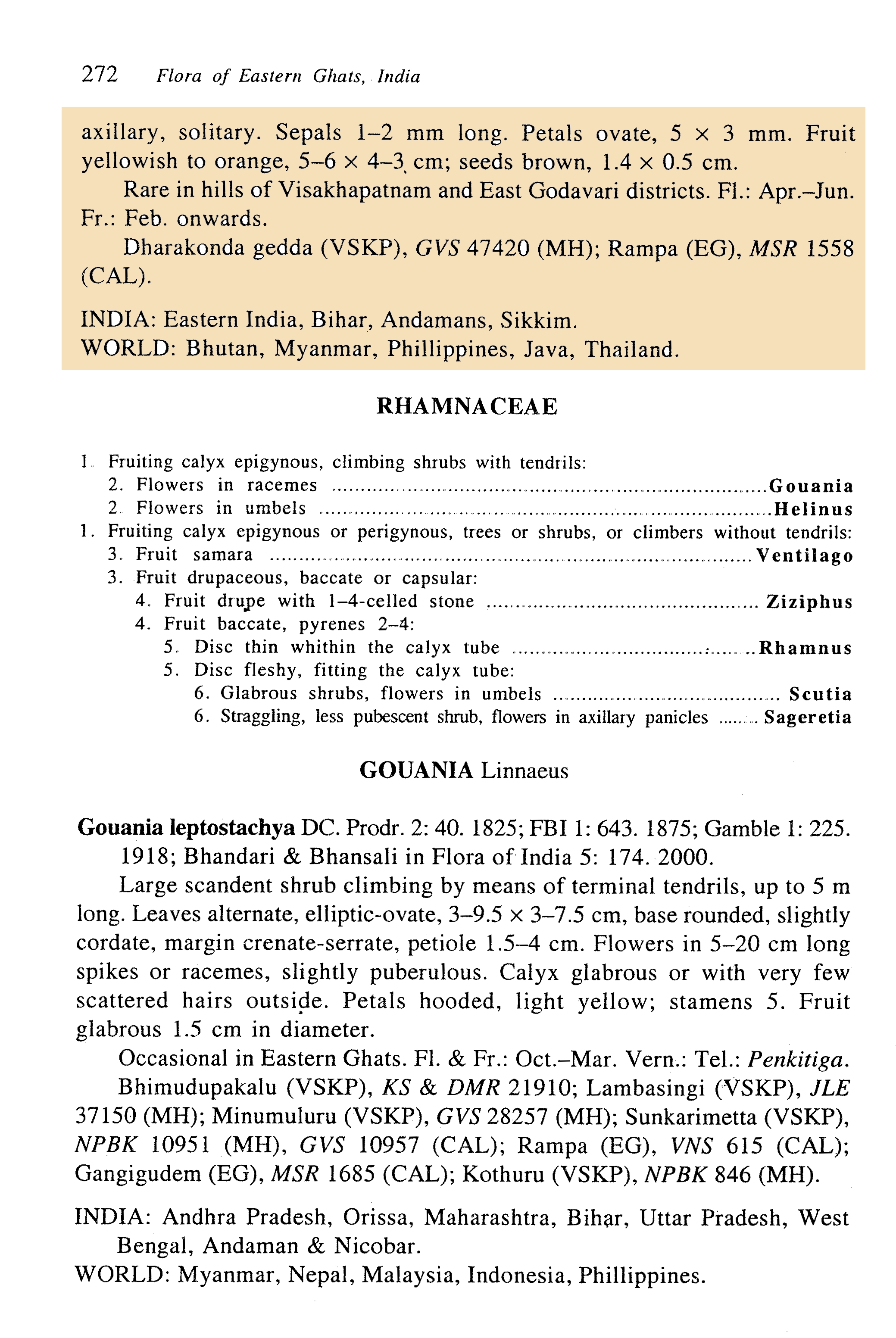 Herbarium JCB