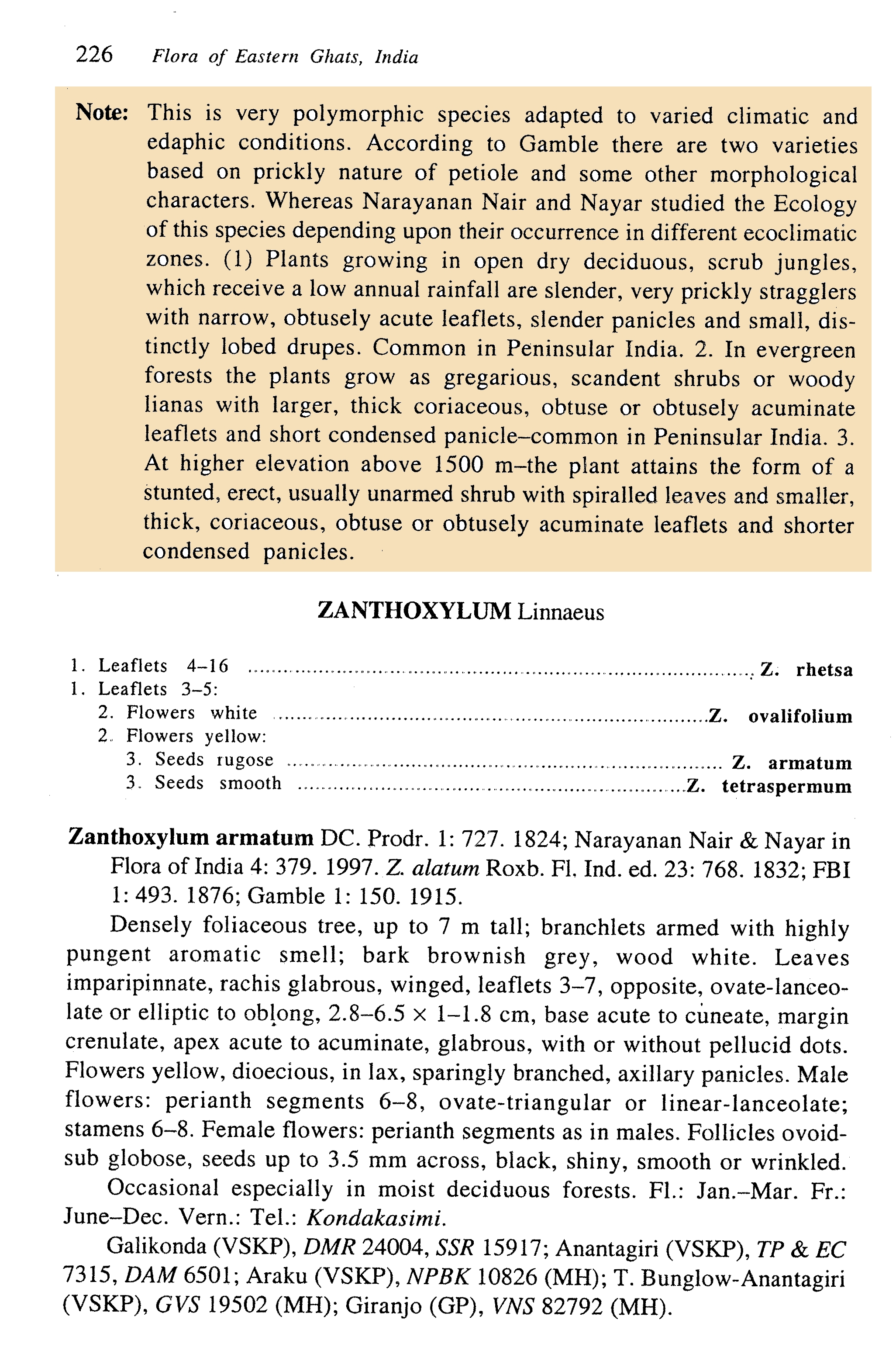 Herbarium JCB
